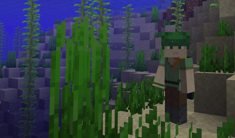 How to get seagrass in Minecraft (Bedrock, Java) - Ol'gamer