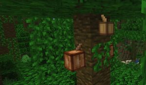 How to use cocoa beans in Minecraft - Ol'gamer